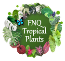 FNQ Tropical Plants